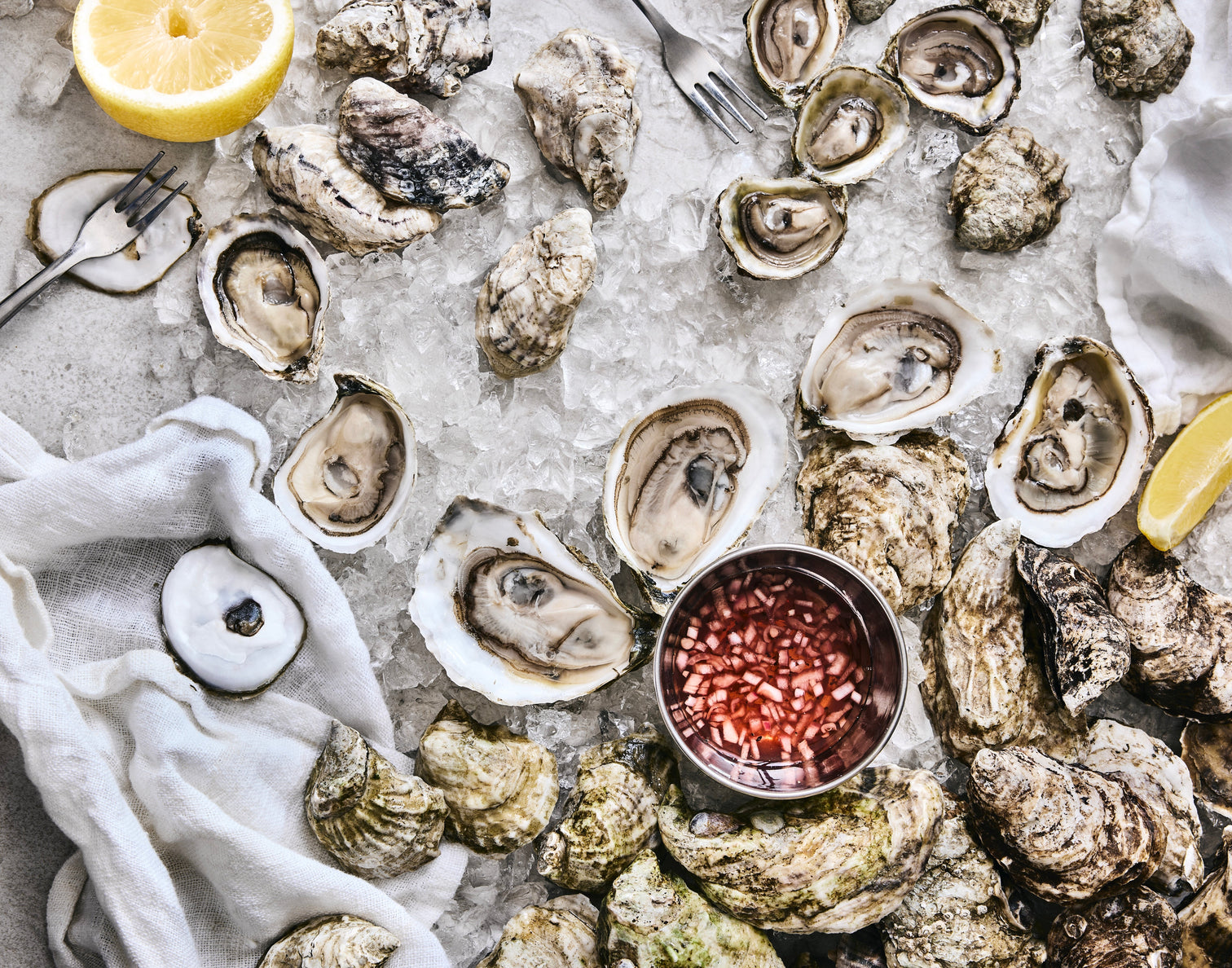 Shop All Oysters – Real Oyster Cult