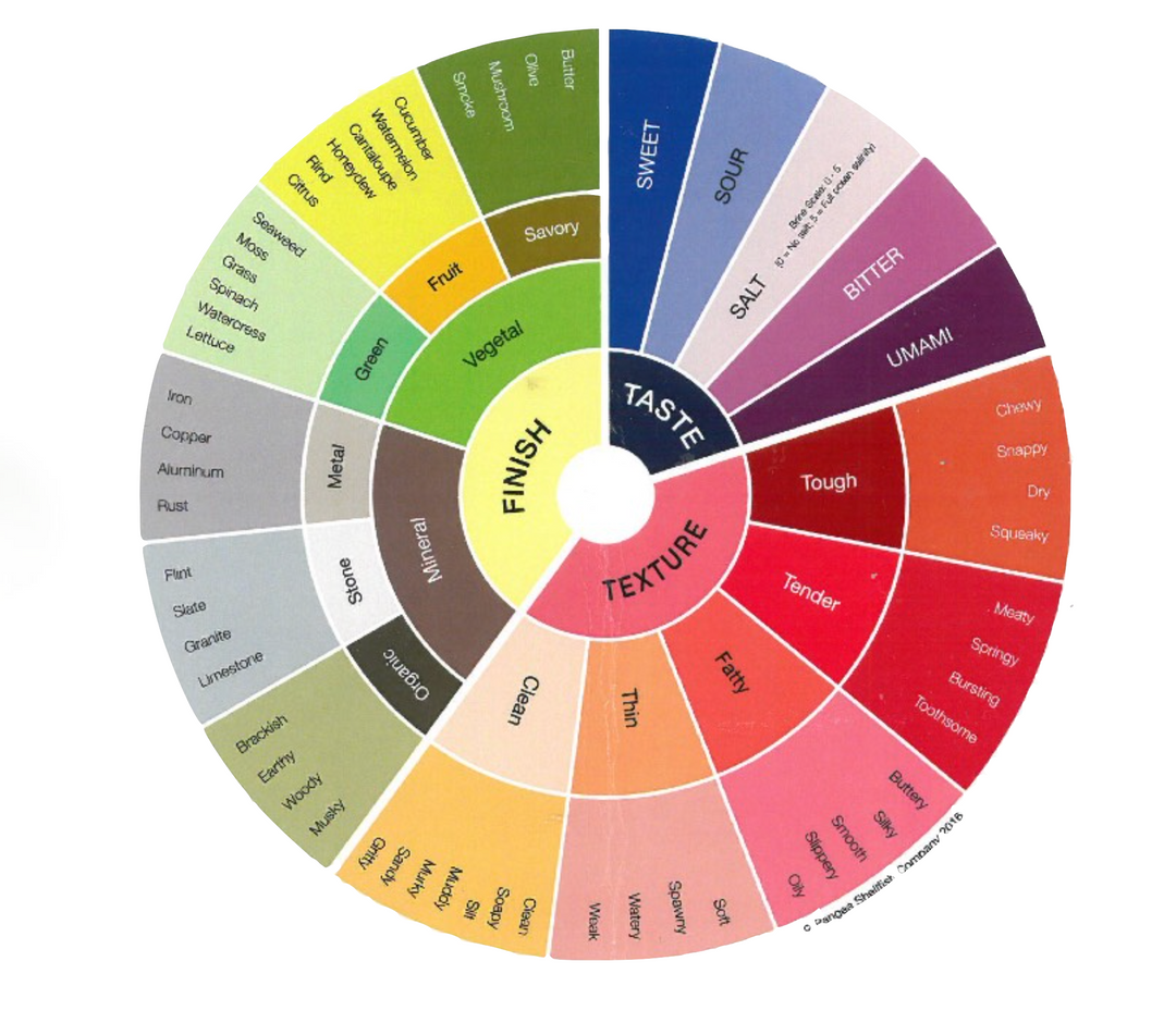 Countneck Clams – Real Oyster Cult